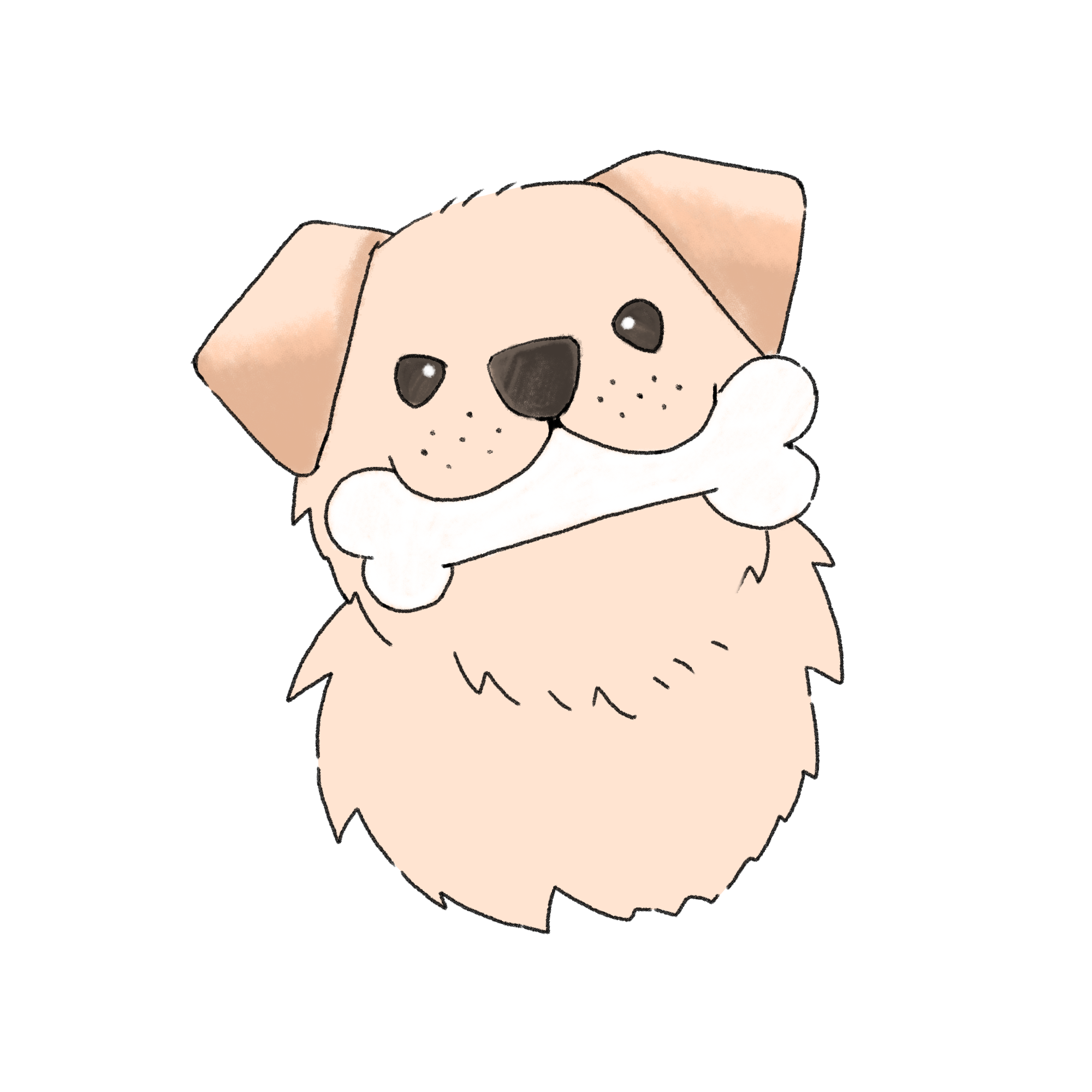 犬の骨のイラスト素材 - フリーイラスト素材配布サイト 無料イラスト素材アタム